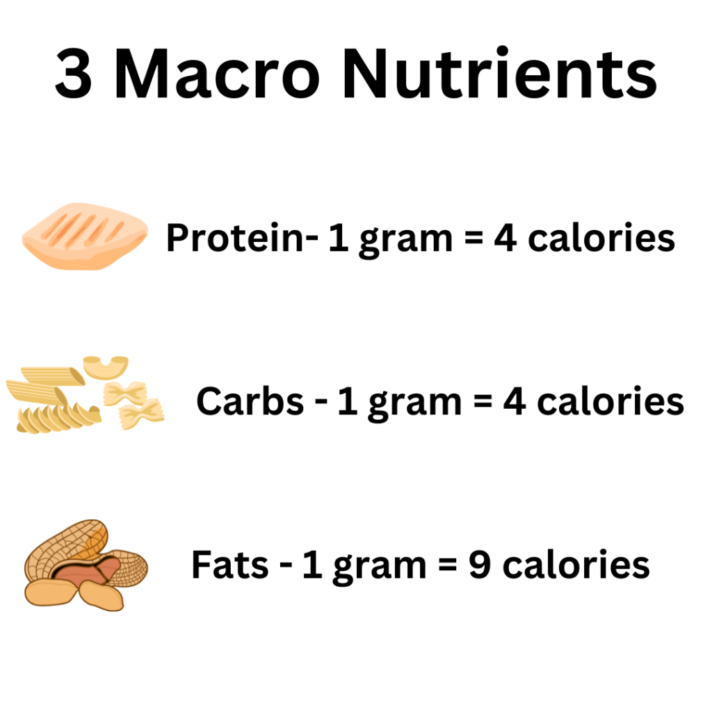 The Ultimate Guide to Fat Loss - OMS Fitness